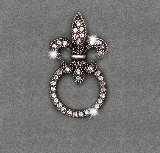 Sunglass Holder Pin Rhinestone Fleur de Lis – Warhawk Customs