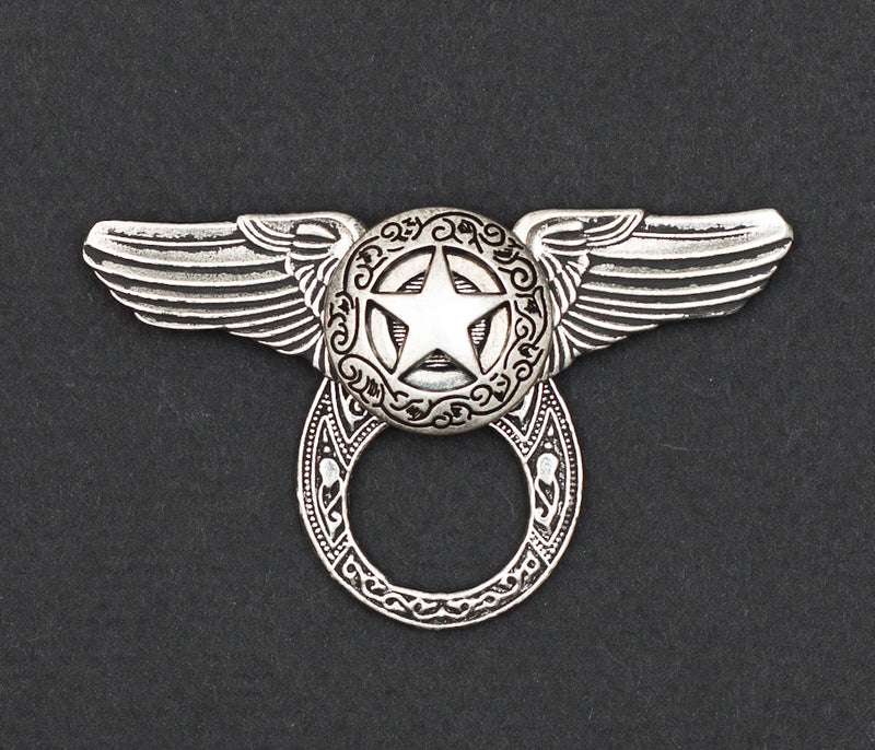Sunglass Holder Pin Winged Texas Star – Warhawk Customs